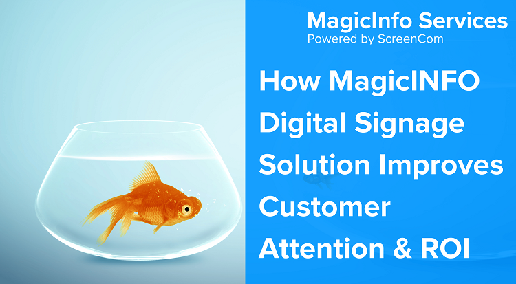 Complete Guide to Installing MagicINFO On-Premise